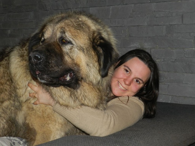 L`Incorruptible [1938] - dahelper