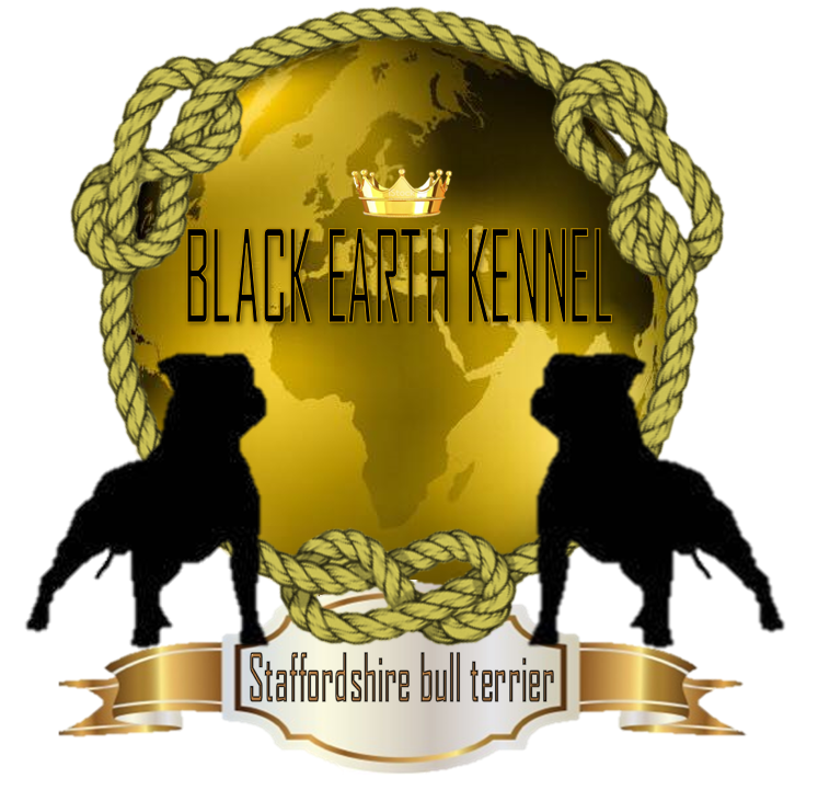 Téléchargement - Elevage Black Earth - eleveur de chiens Staffordshire ...