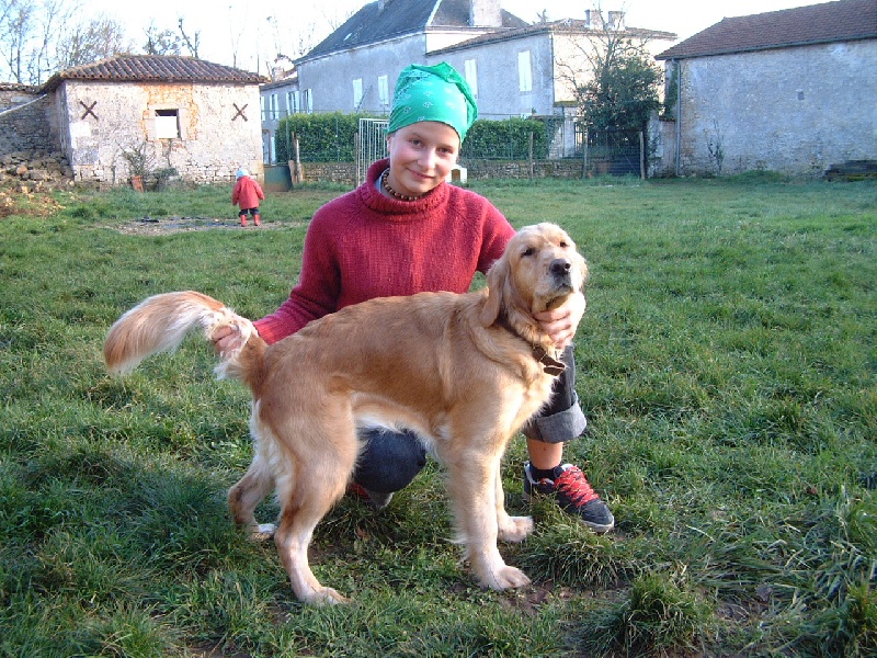 Chien Golden Retriever land of anaka Rwanda