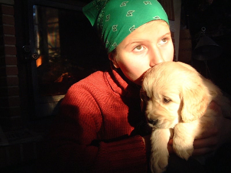 Chien Golden Retriever land of anaka Rwanda